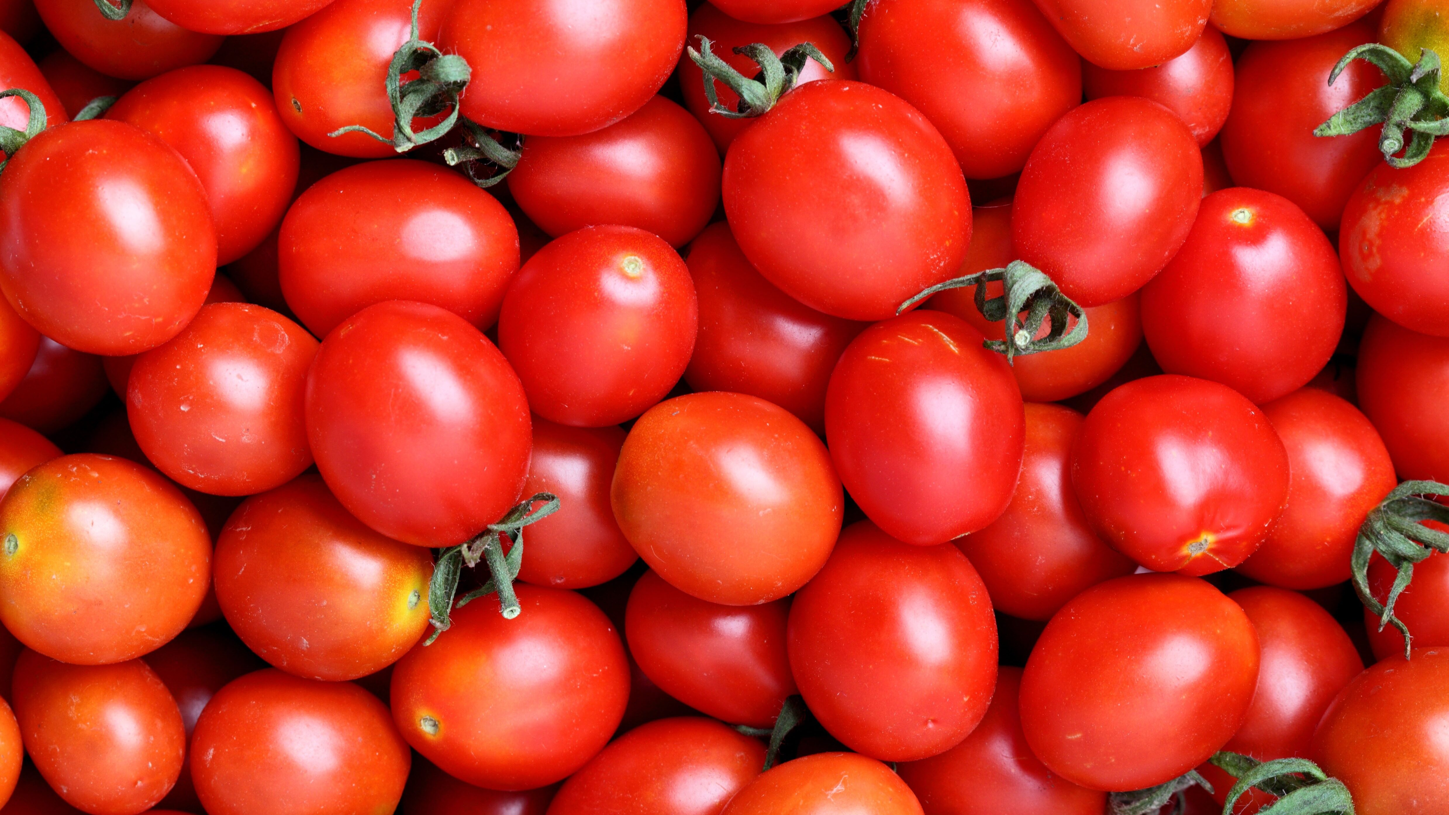 Tid för tomater - DN.se