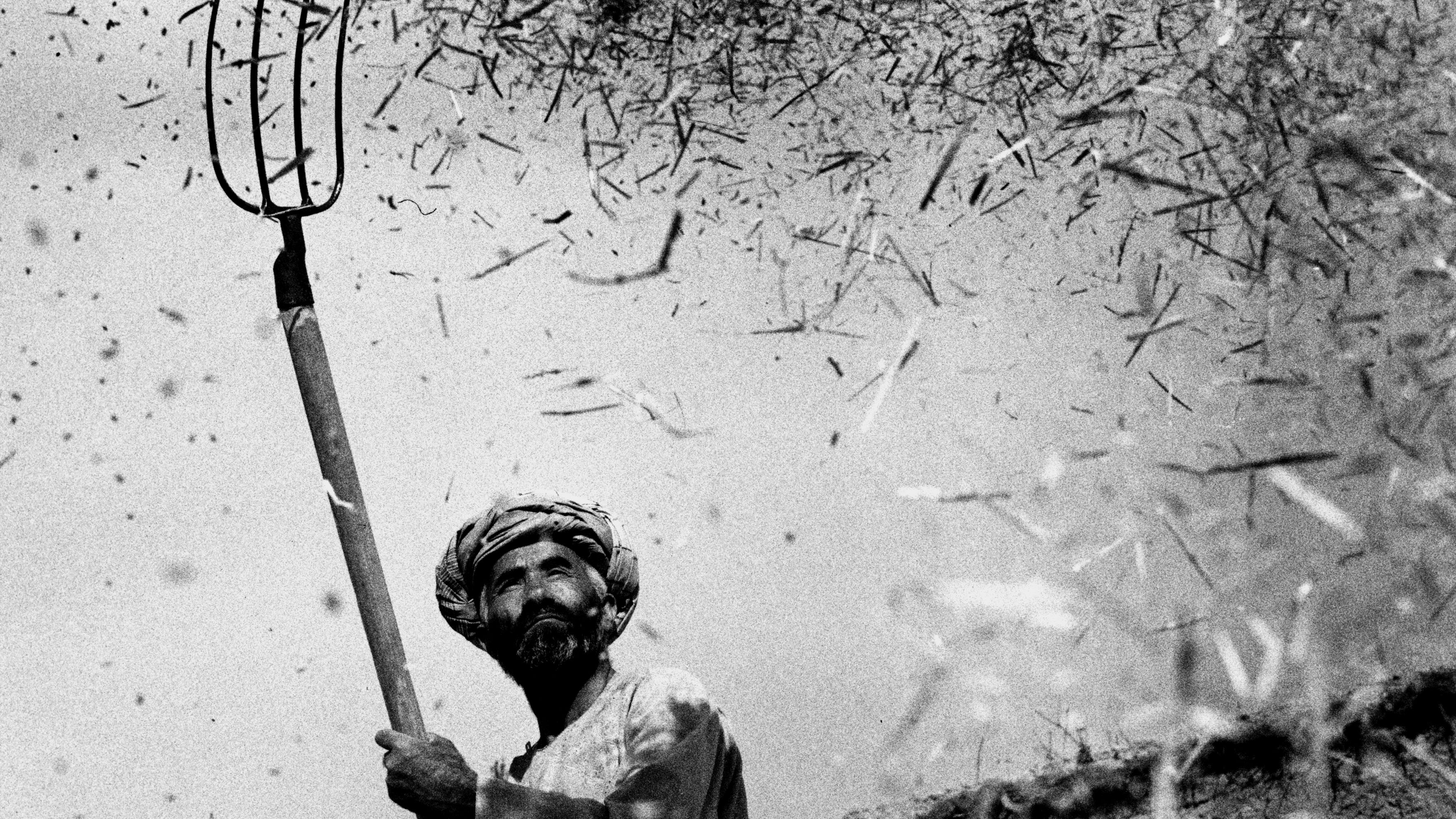 Löga, tjuga och aversion? Vad betyder orden? - DN.se