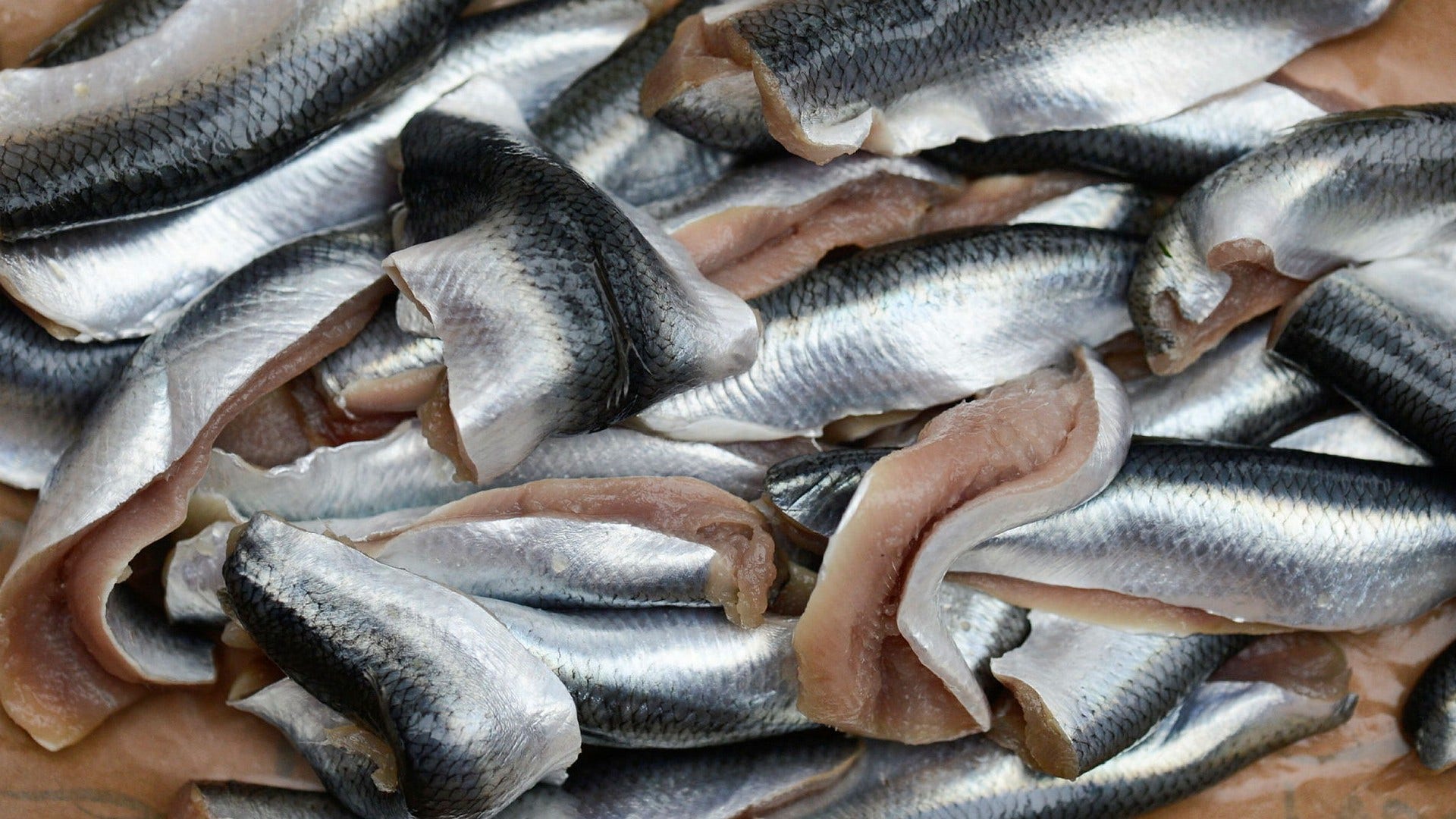 Se upp för fula fiskar i midsommar - DN.se