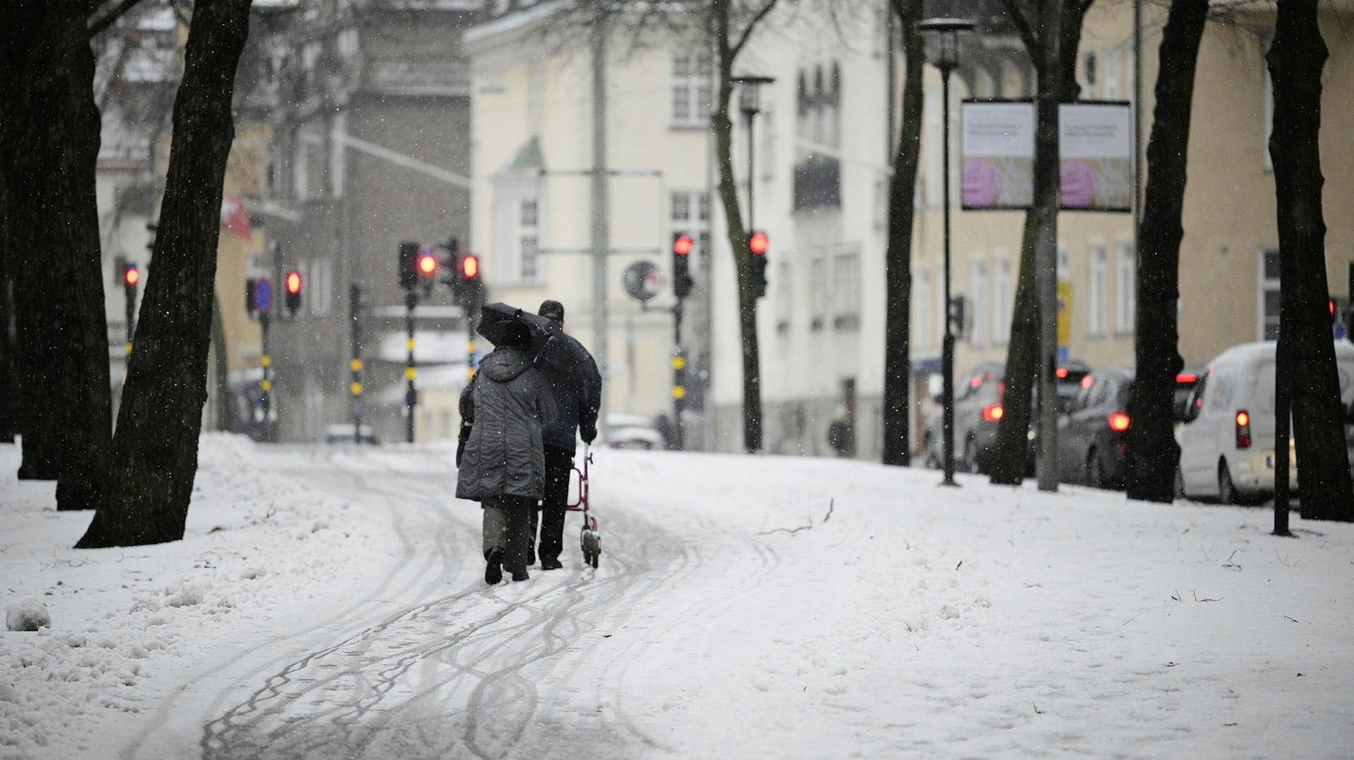 Ingen meteorologisk vinter i södra Sverige trots snöfall - DN.se