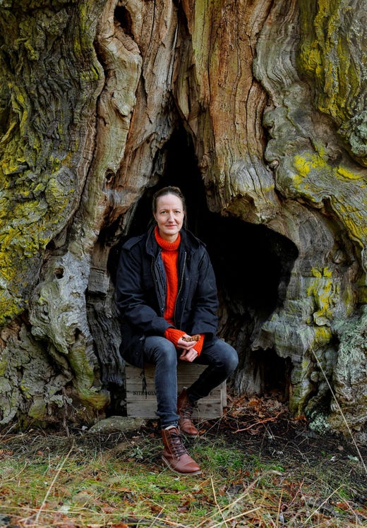 Filosofen Ida Hallgren om hur vi blir lyckliga - DN.SE