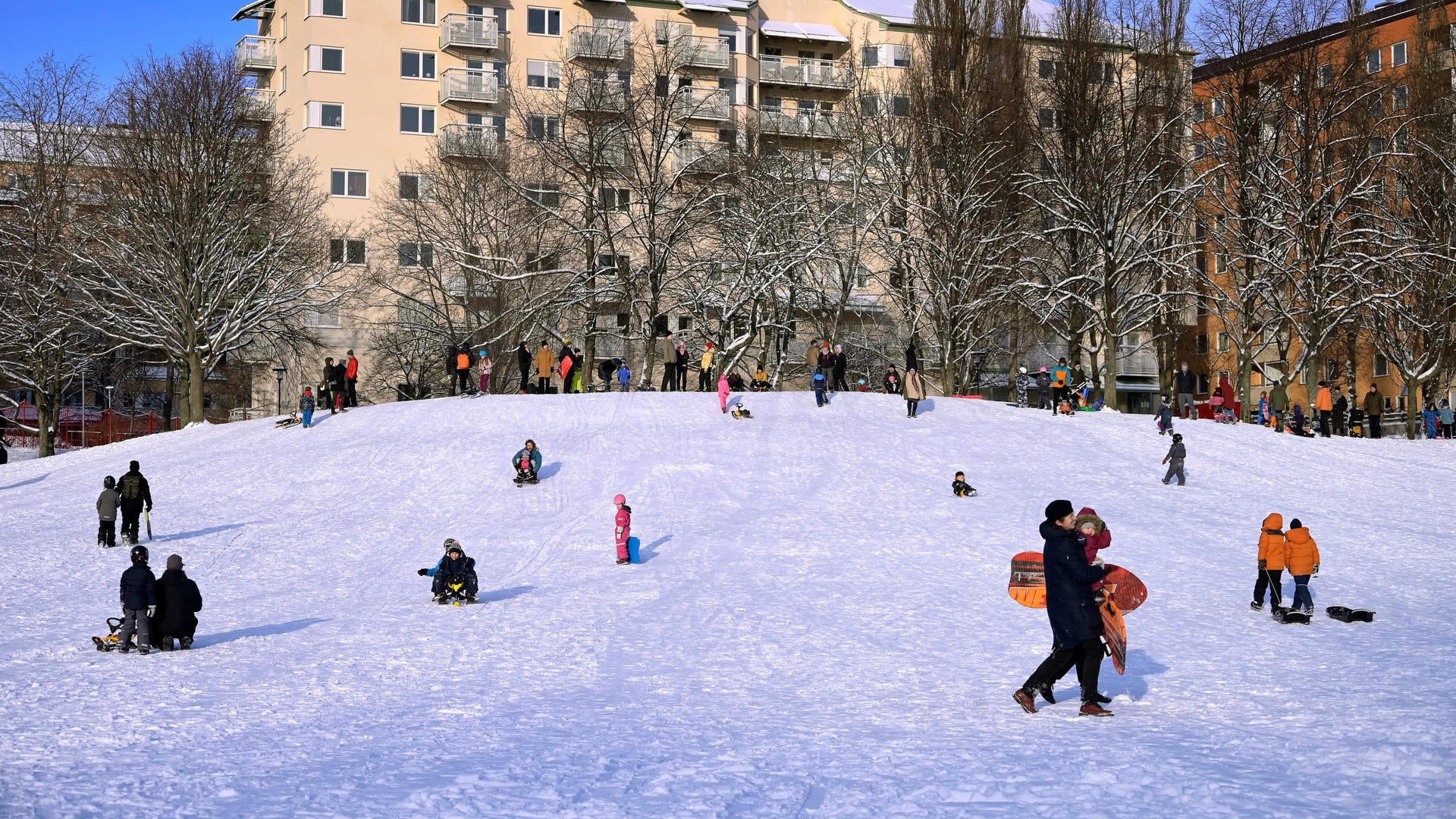 Lotta O: Som små förvånade mullvadar - DN.se