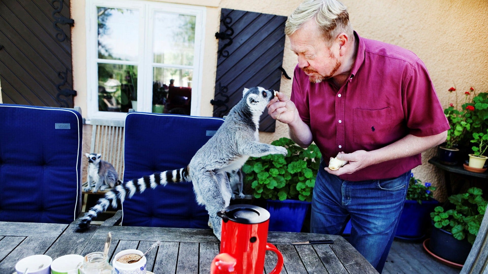 Marcus Bornlid Lesseur: Skansen-Jonas utvaldhet är unik - DN.se