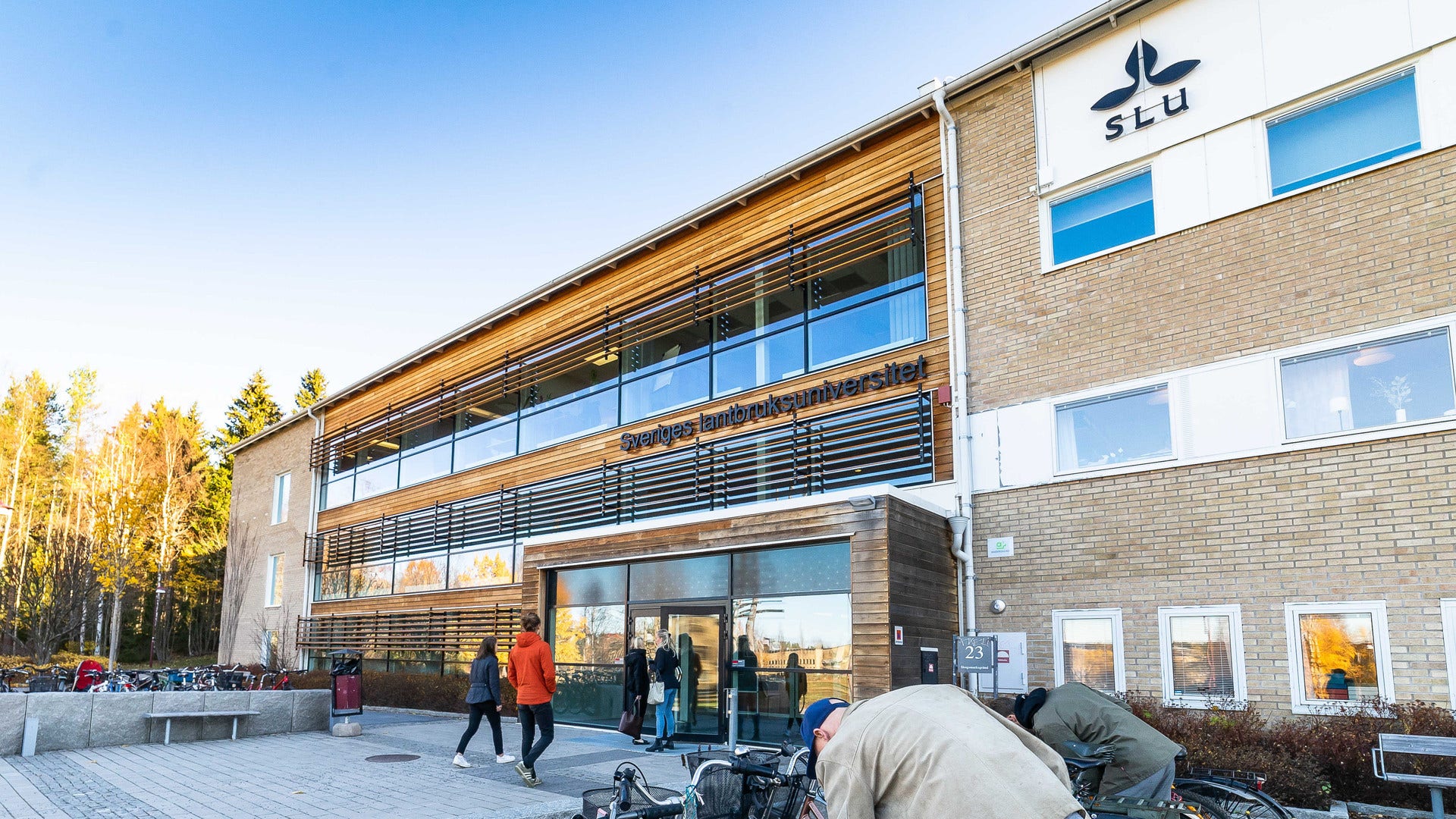 Skogsbolag delar lokaler med SLU:s skogsforskare - DN.se