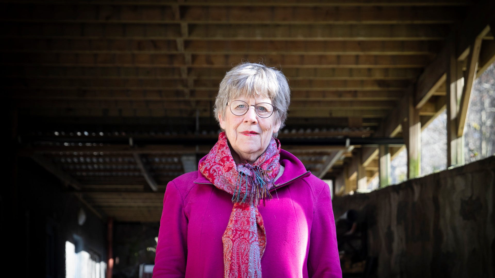 Agnes Wolds kritik mot projektet Sahlgrenska Life i Göteborg - DN.se