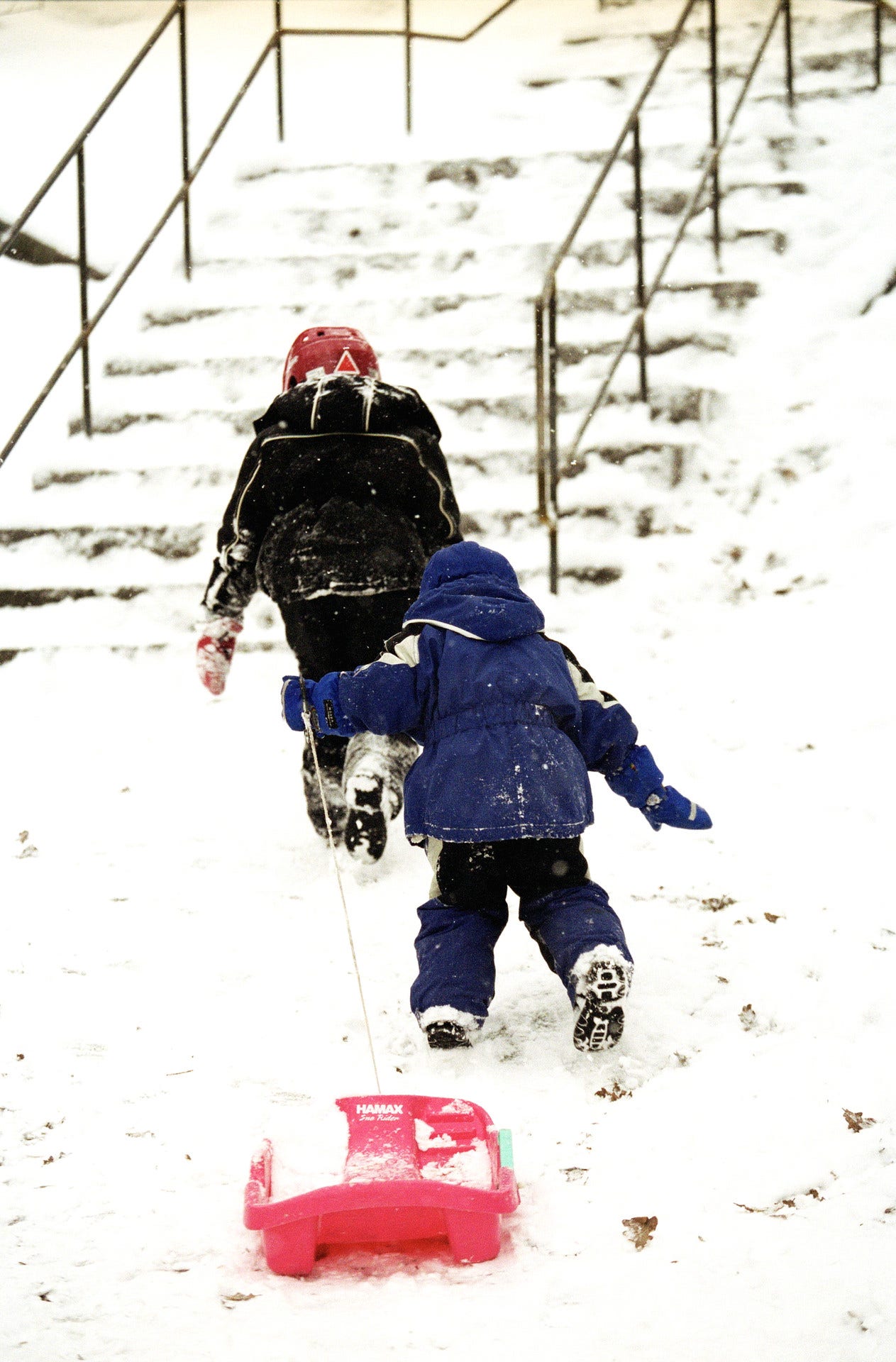 Lotta O: Som små förvånade mullvadar - DN.se