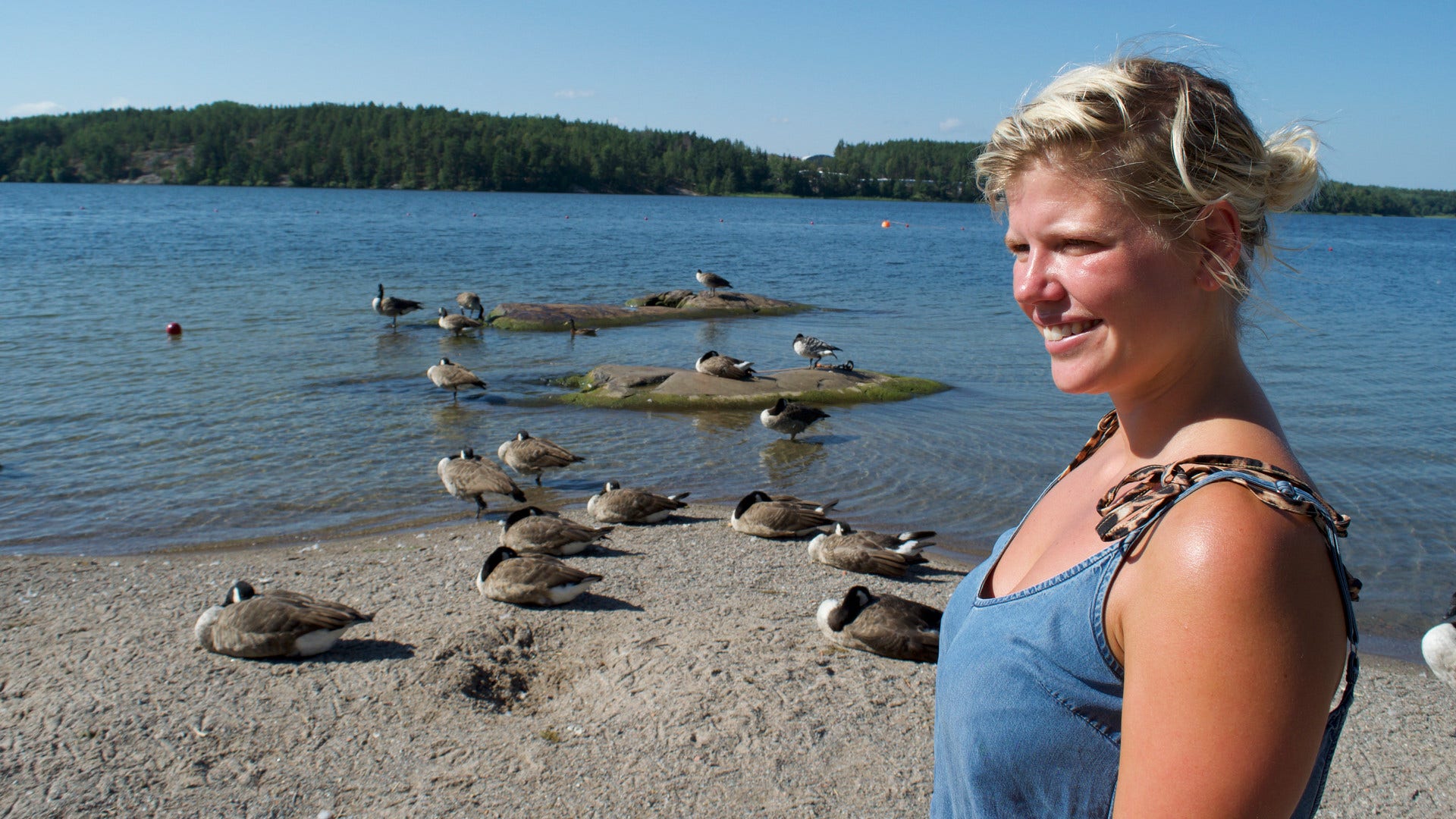 Tusentals gäss ockuperar Stockholms badplatser - DN.se