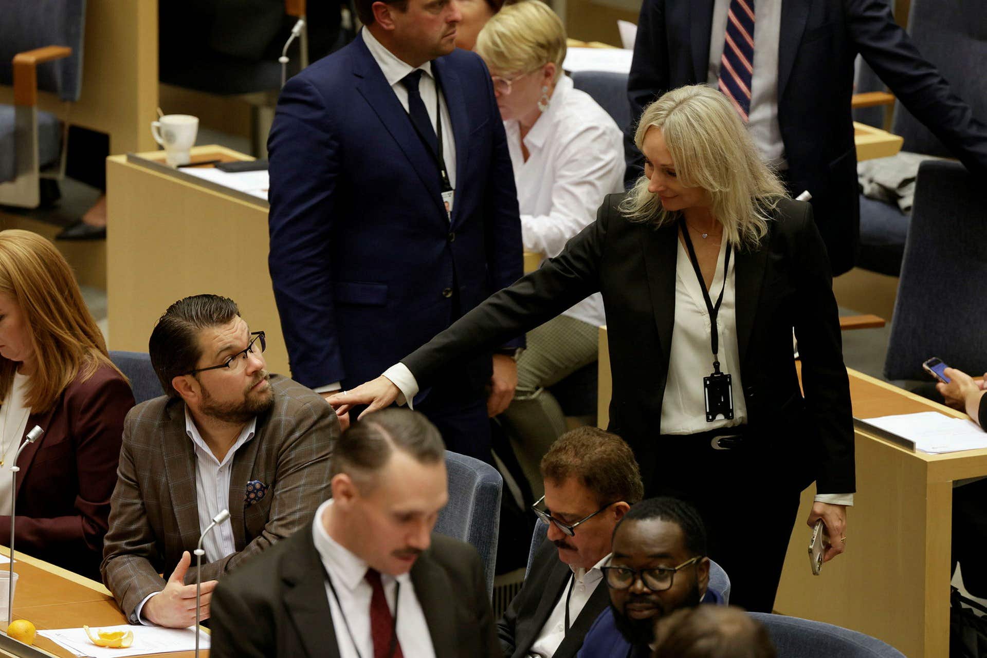 Stegrud: ”Etniska svenskar måste få känna sig svenska” - DN.SE