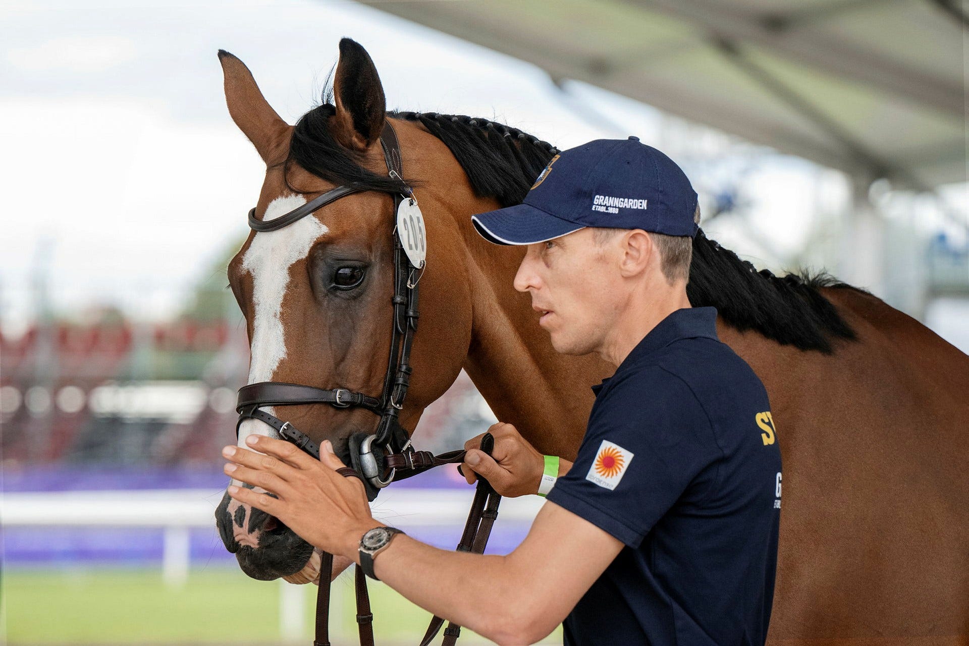 Bilderna som visar vägen till det historiska guldet - DN.se