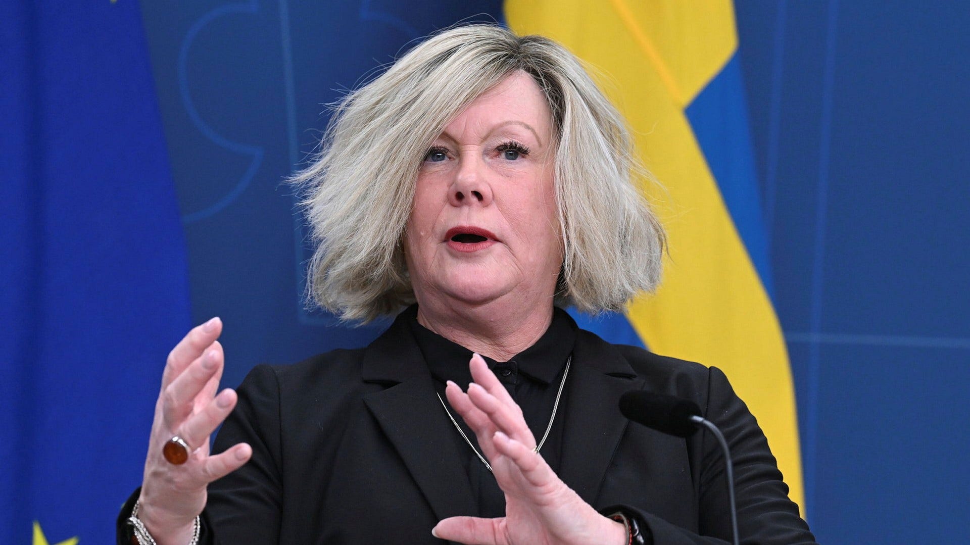 Ny generaldirektör på Havs- och vattenmyndigheten - DN.se