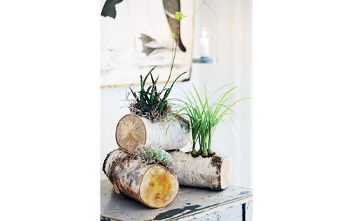 Släpp in lite skog i finrummet - DN.se