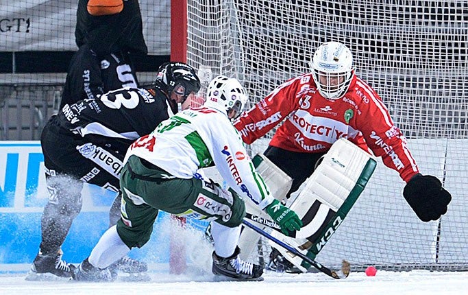 Sandviken svenska mästare i bandy - DN.SE