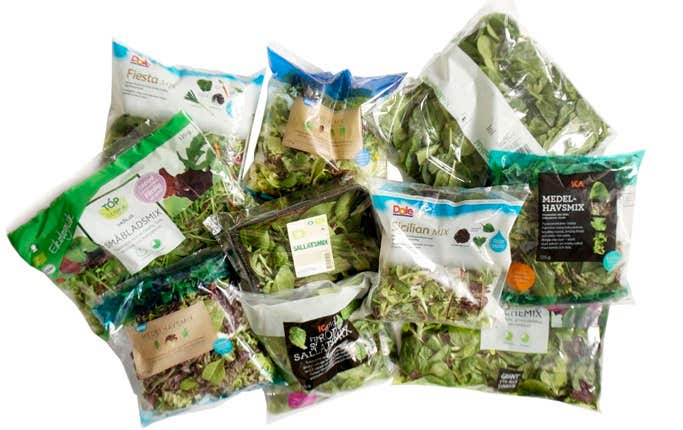 Elaka bakterier i salladspåsen - DN.SE