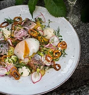 Matjessill med krämigt ägg och friterad lök - DN.se