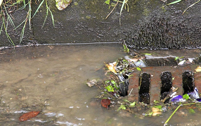 ”Återvinn fler näringsämnen än fosfor i avloppsvattnet” - DN.se