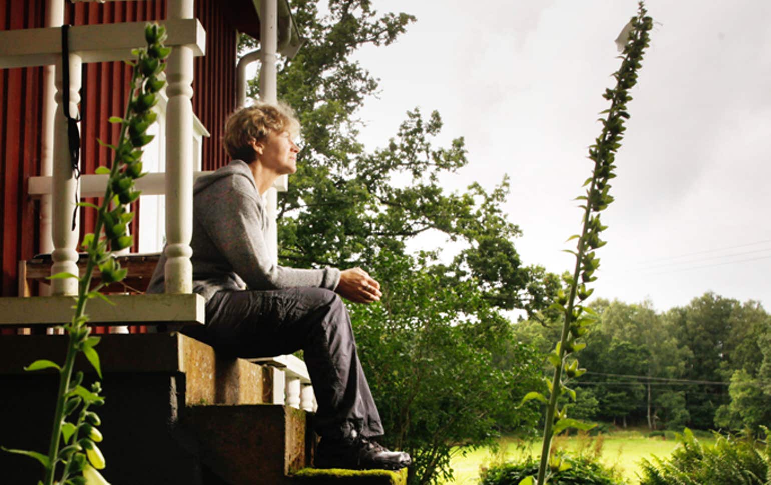 Ellen Mattson: ”Vinterträdet” - DN.SE