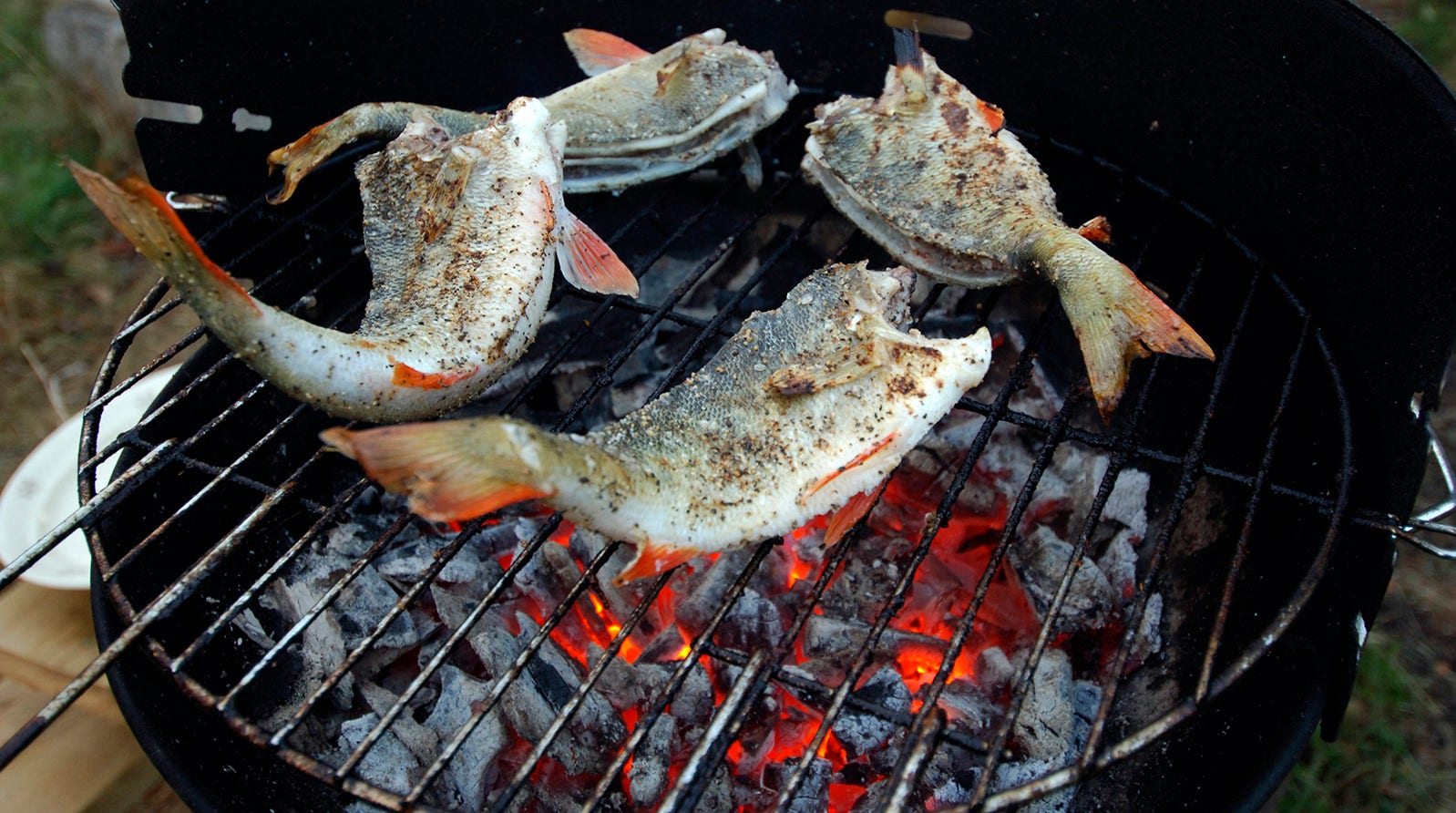 Grafik: Steg för steg, så blir du en fena på att grilla fisk - DN.se