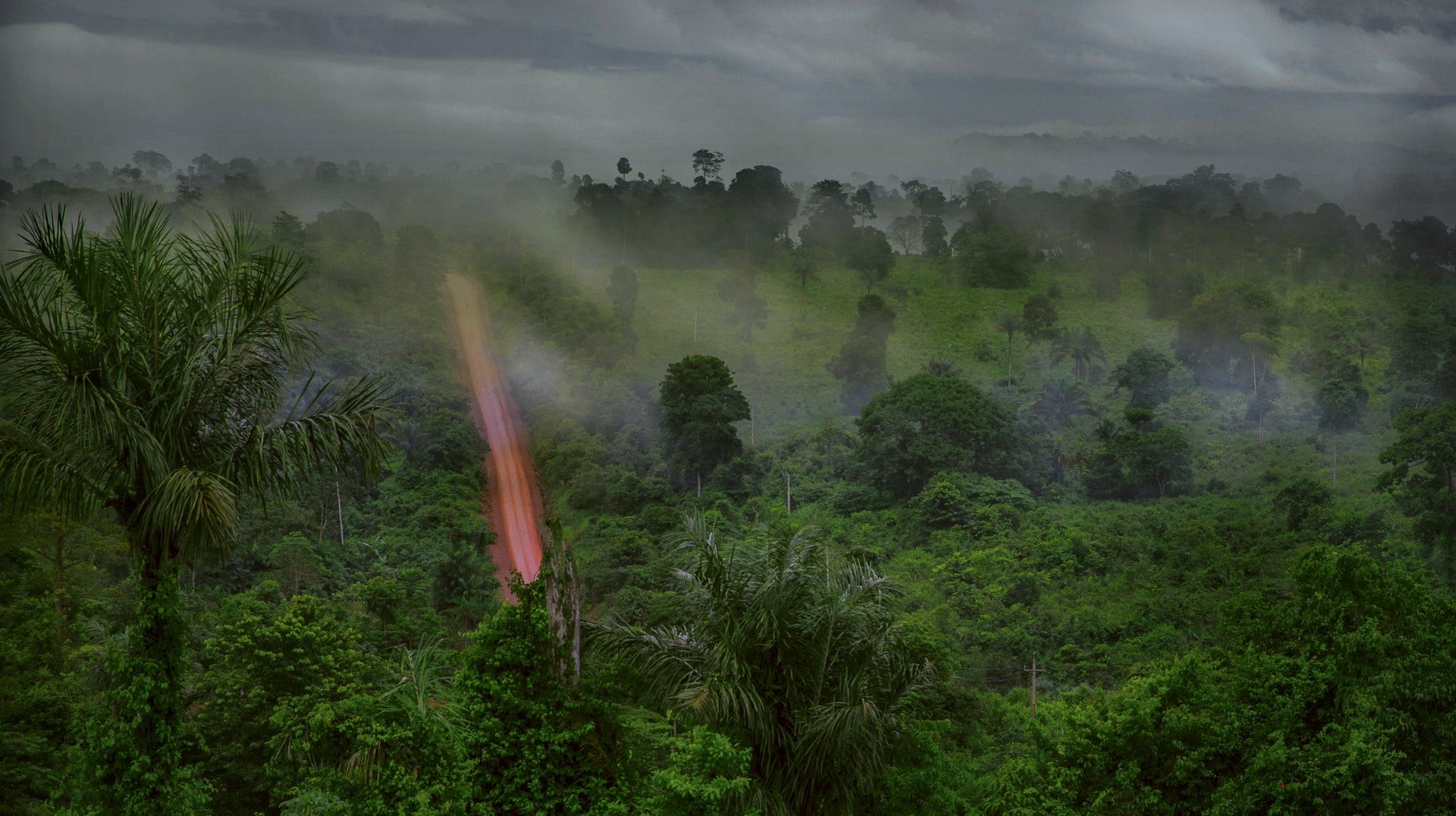 Regnskogen i Amazonas skövlas snabbare än någonsin - DN.se