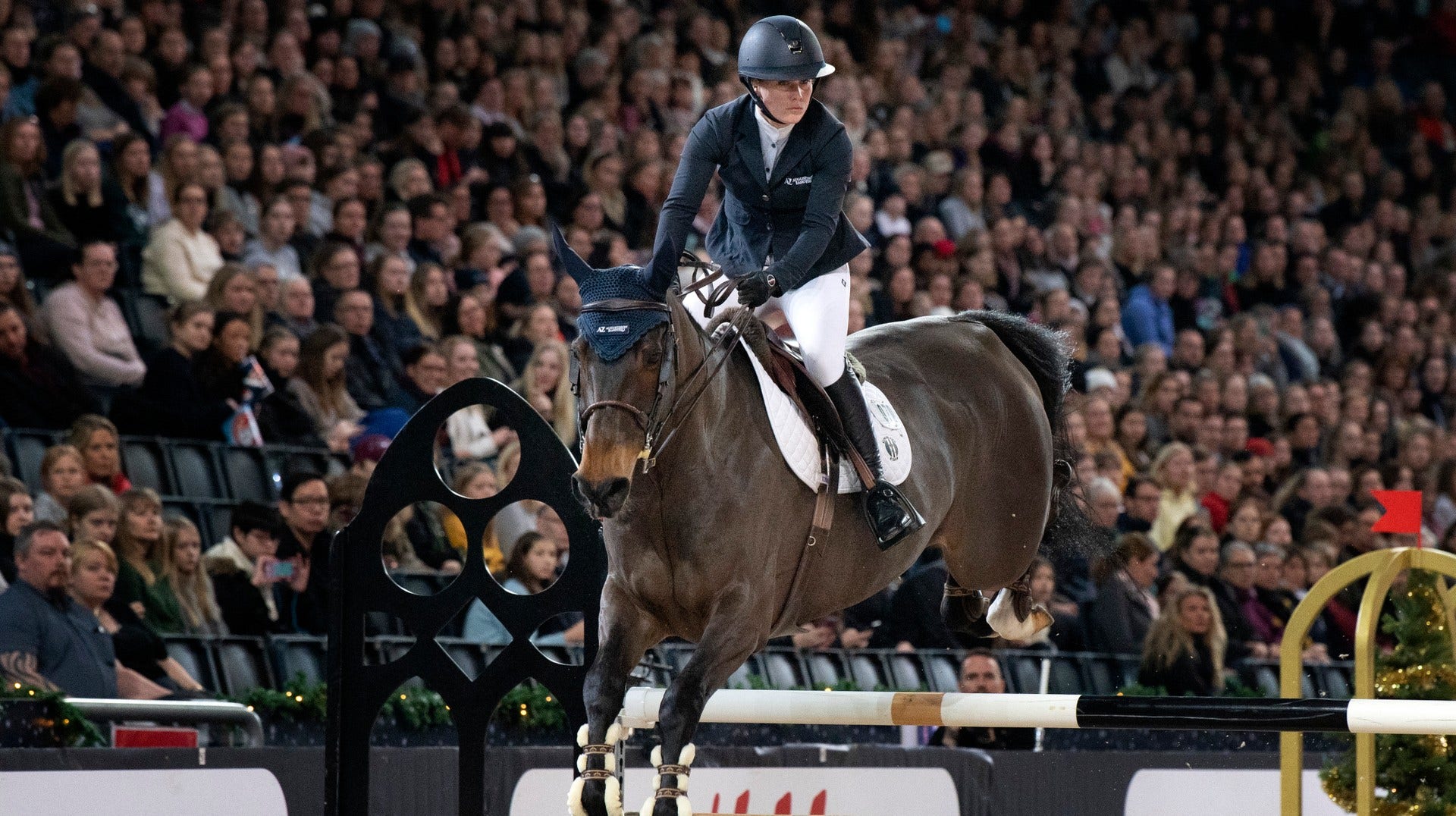 Guide: Göteborg horse show 2020 i Scandinavium - DN.se