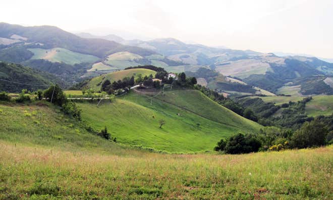 Lär dig strunta i allt på en kulle i Italien - DN.SE