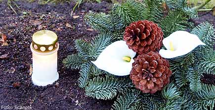 Svenska granar på tyska gravar