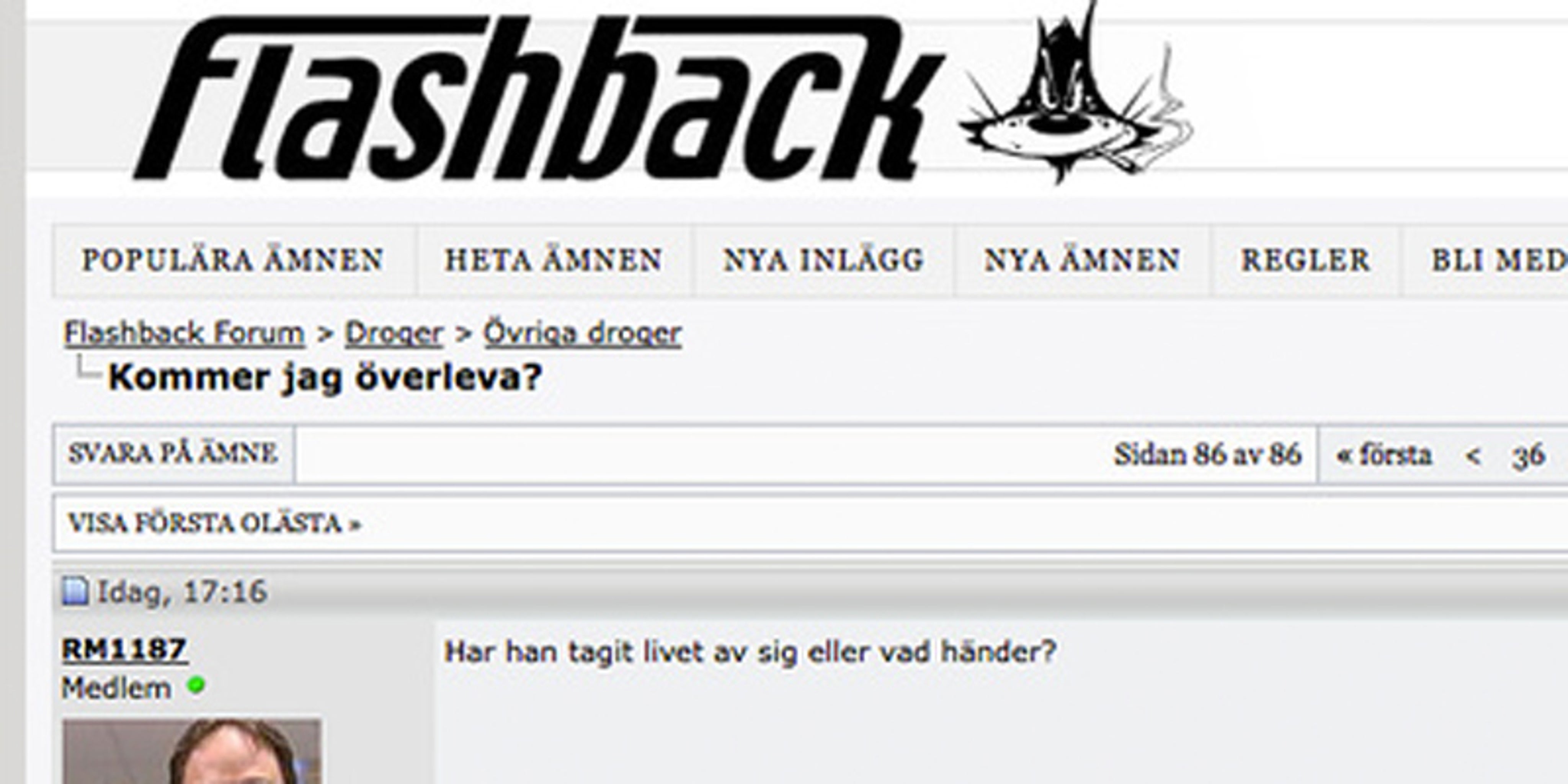 Flashback drar in miljoner - Resumé