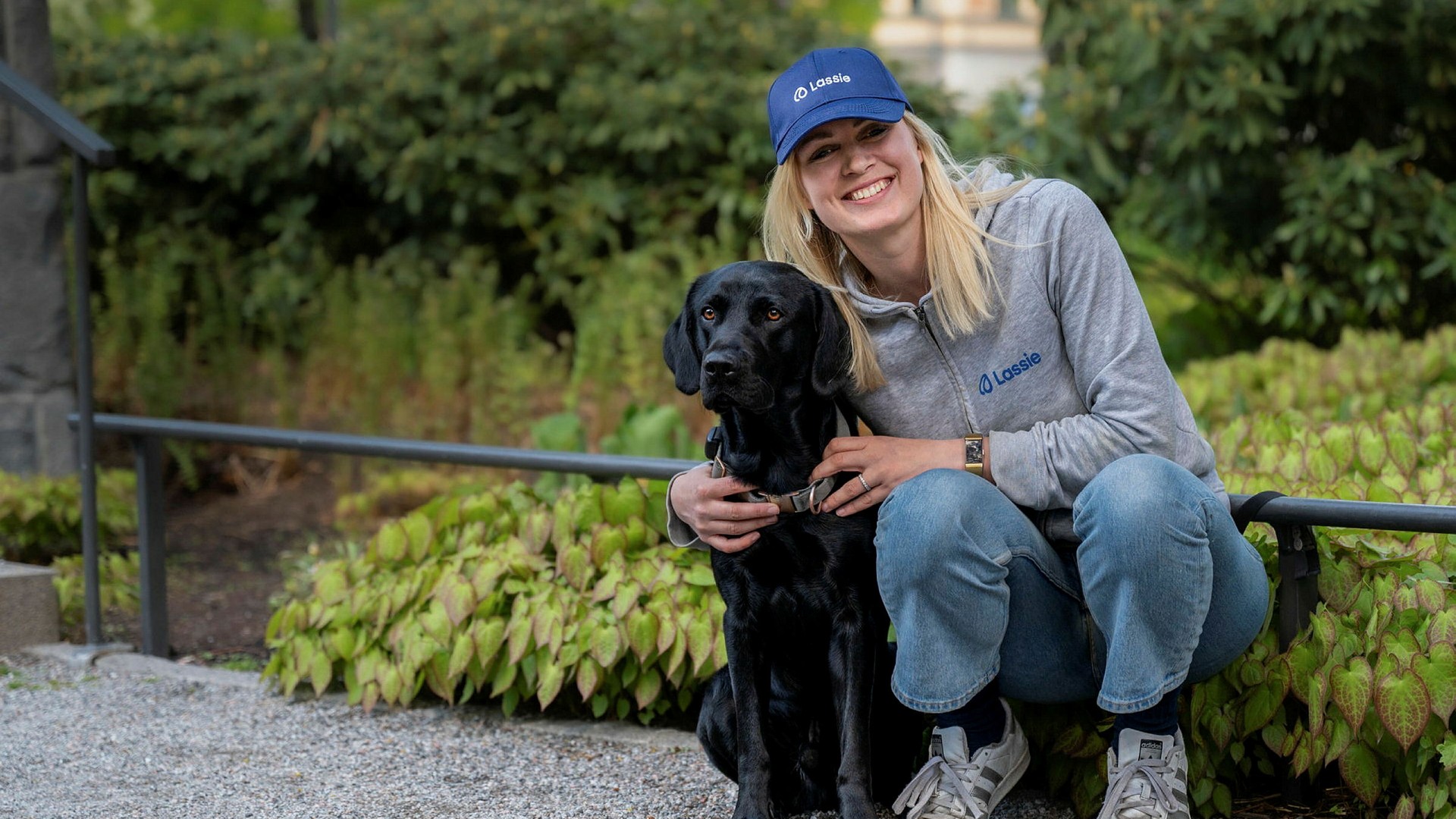 Lassie rör sig mot 100 miljoner