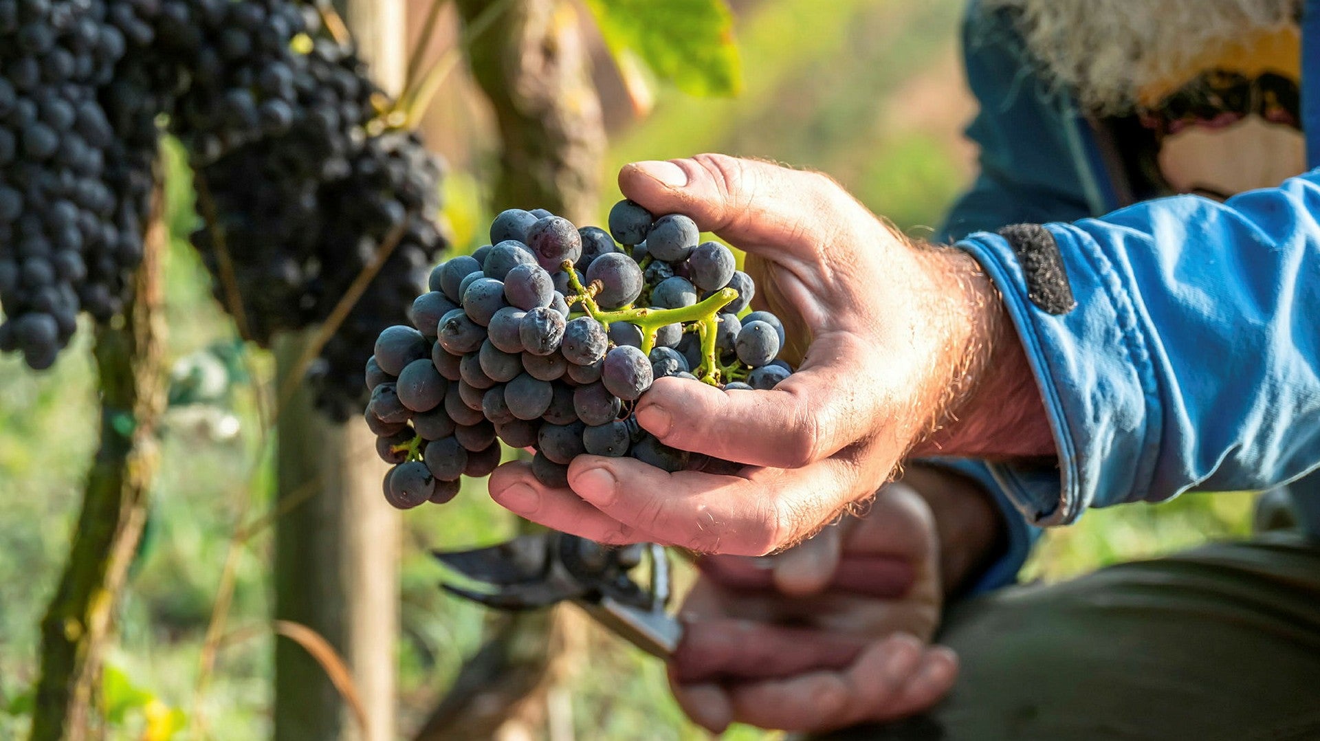 Di Weekend - Analyser och artiklar om Di Weekend - Dagens industri