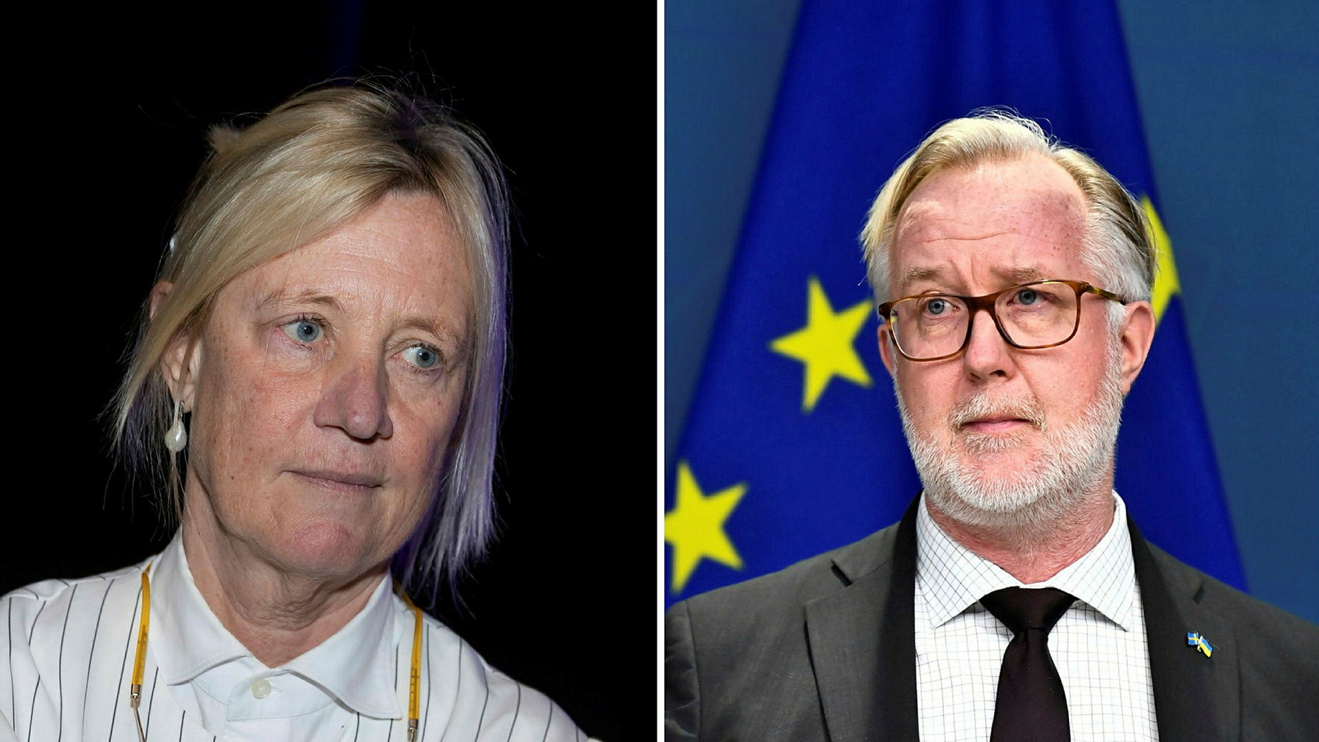 Johan Pehrson kritiserar uthängningen av Alecta-chefen