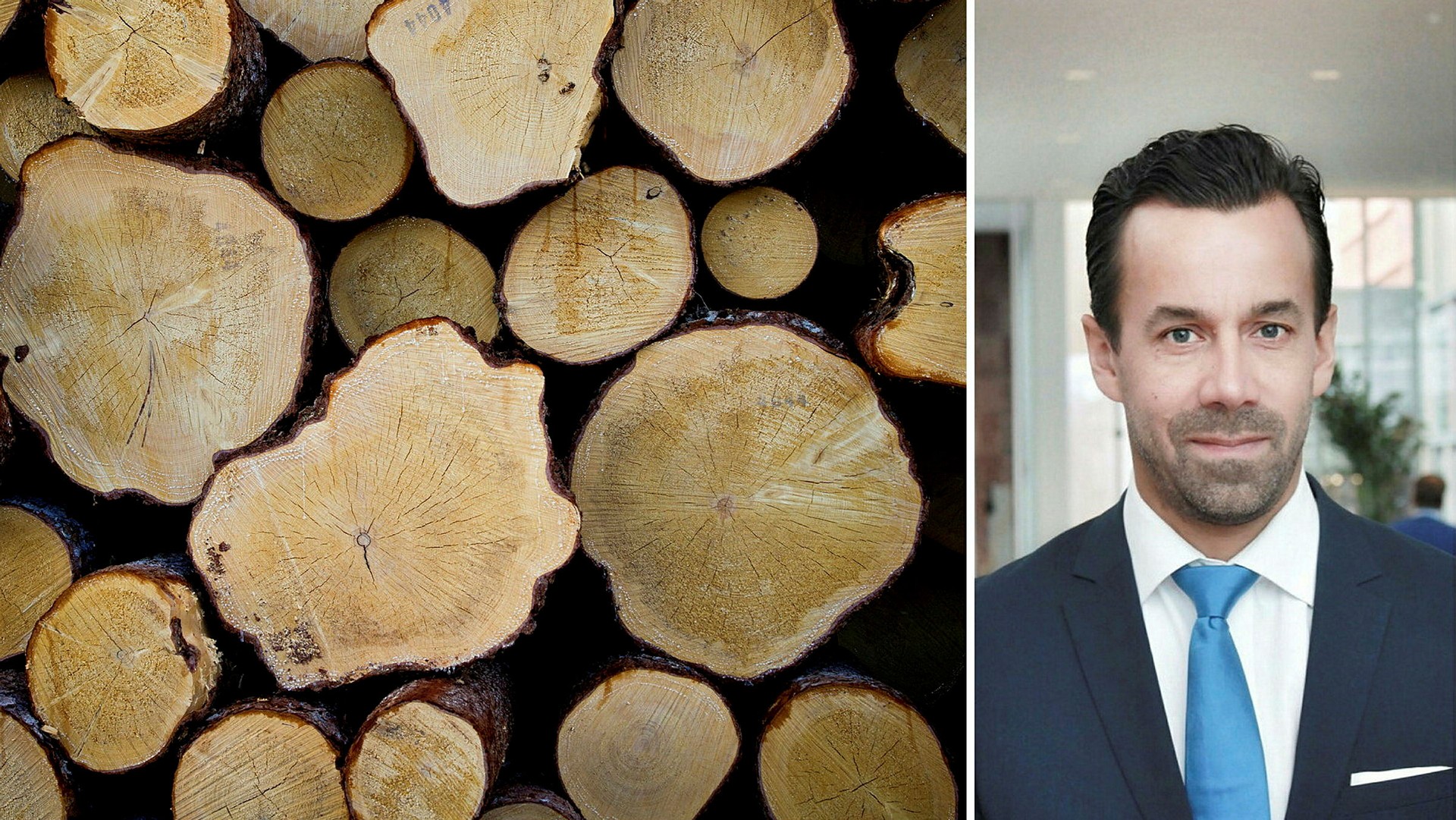 Christian Kopfer: Mycket talar för att investera i skog