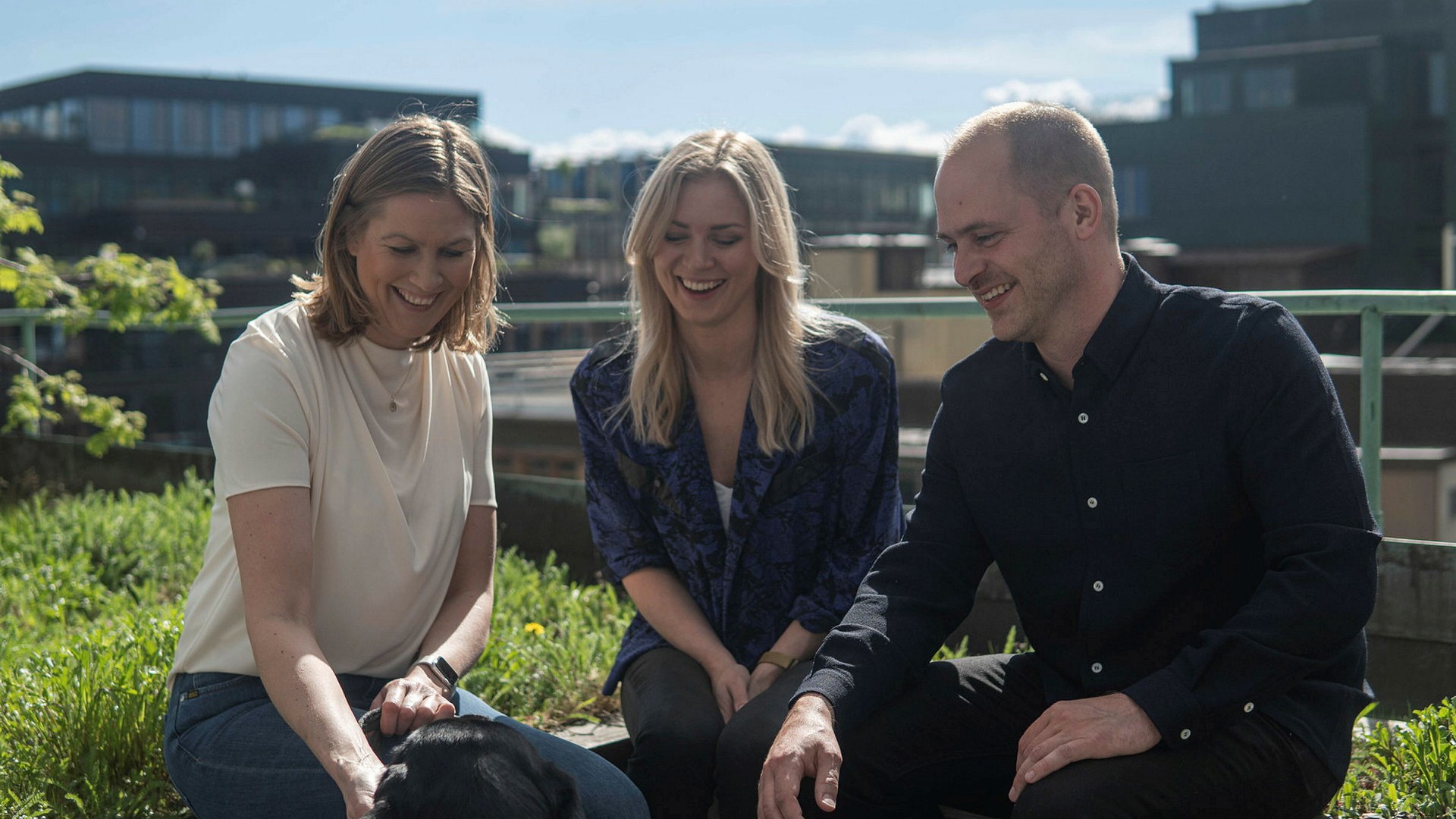 Svenska djurförsäkringar växer i Tyskland