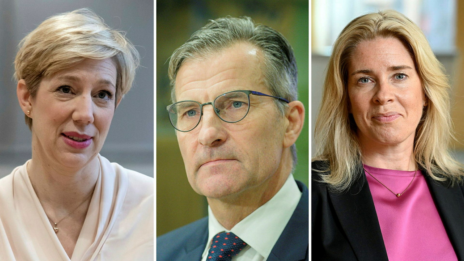 Åkesson: Bara hökar kvar i direktionen