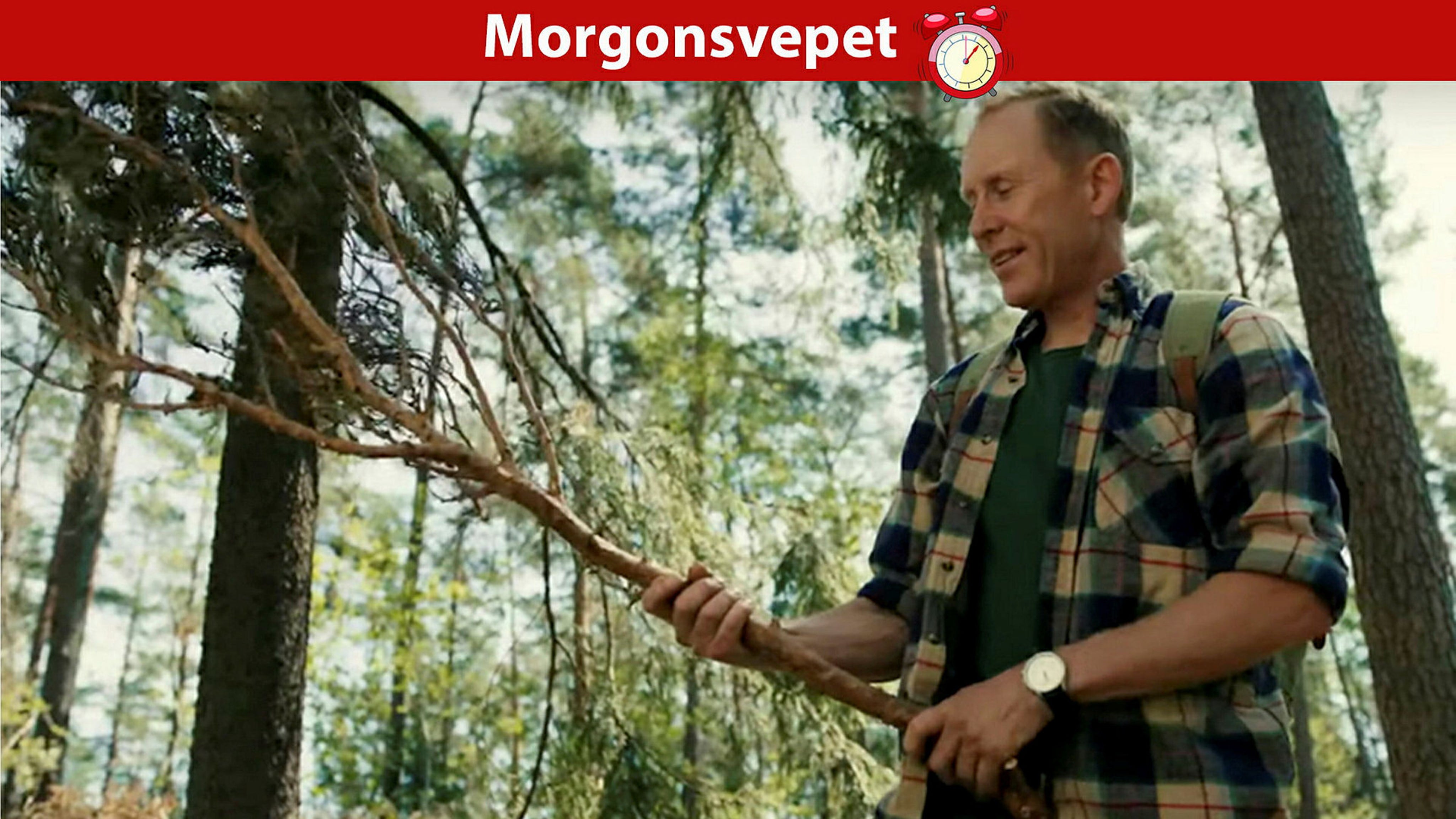 Preems reklam anklagas för ”greenwashing” - Resumé