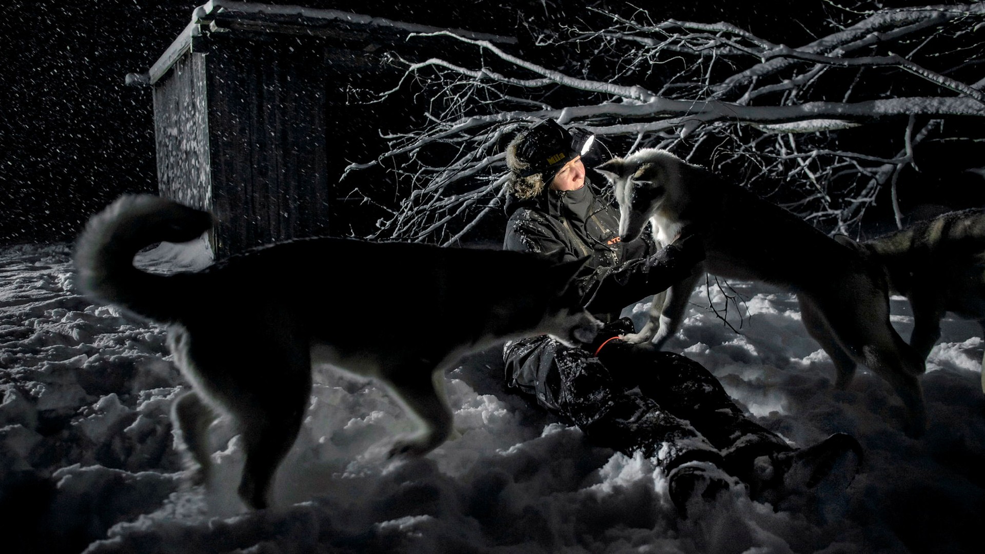 Di:s Jack Mikrut vinner NPPA Best of Photojournalism 2023