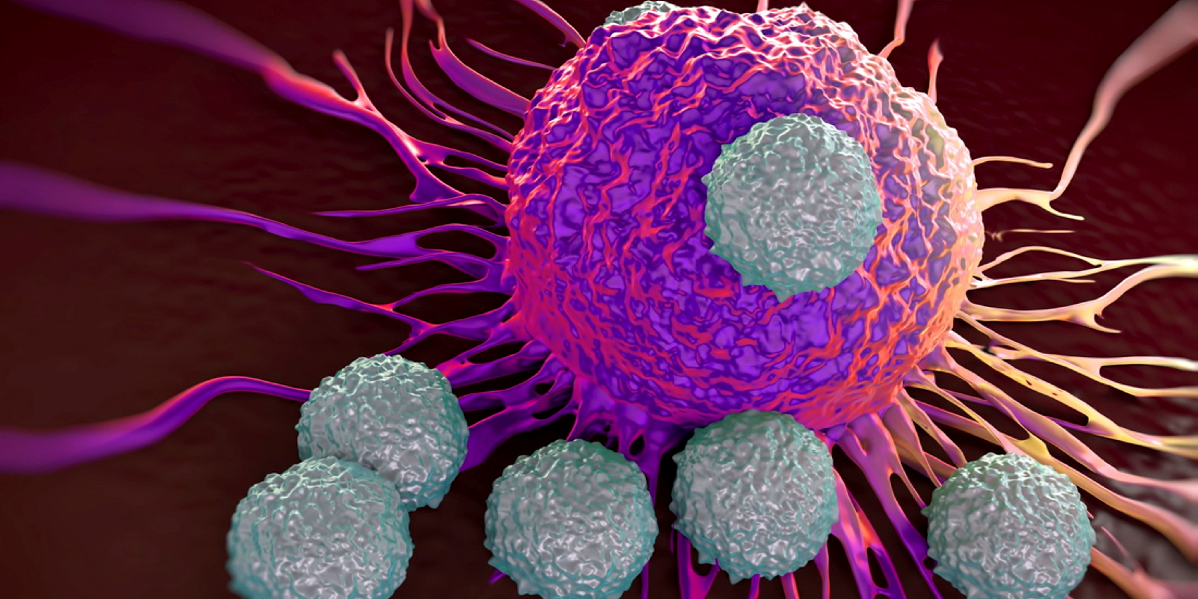 Cytostatika i lågdos fungerade vid Car T-cellsterapi - Dagens Medicin