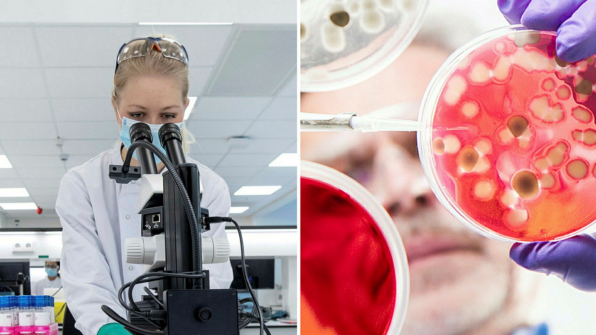 Bioarctic - Analyser och artiklar om Bioarctic - Dagens industri