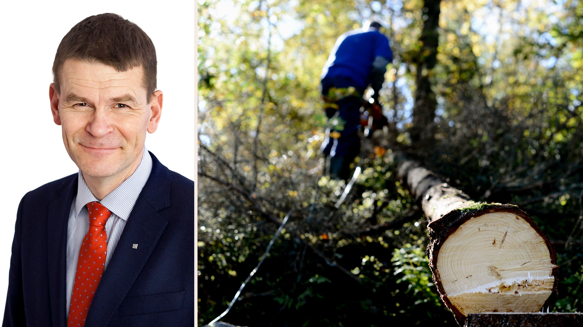 DEBATT: Skogsstyrelsen: C snedvrider och sprider konspirationsteorier