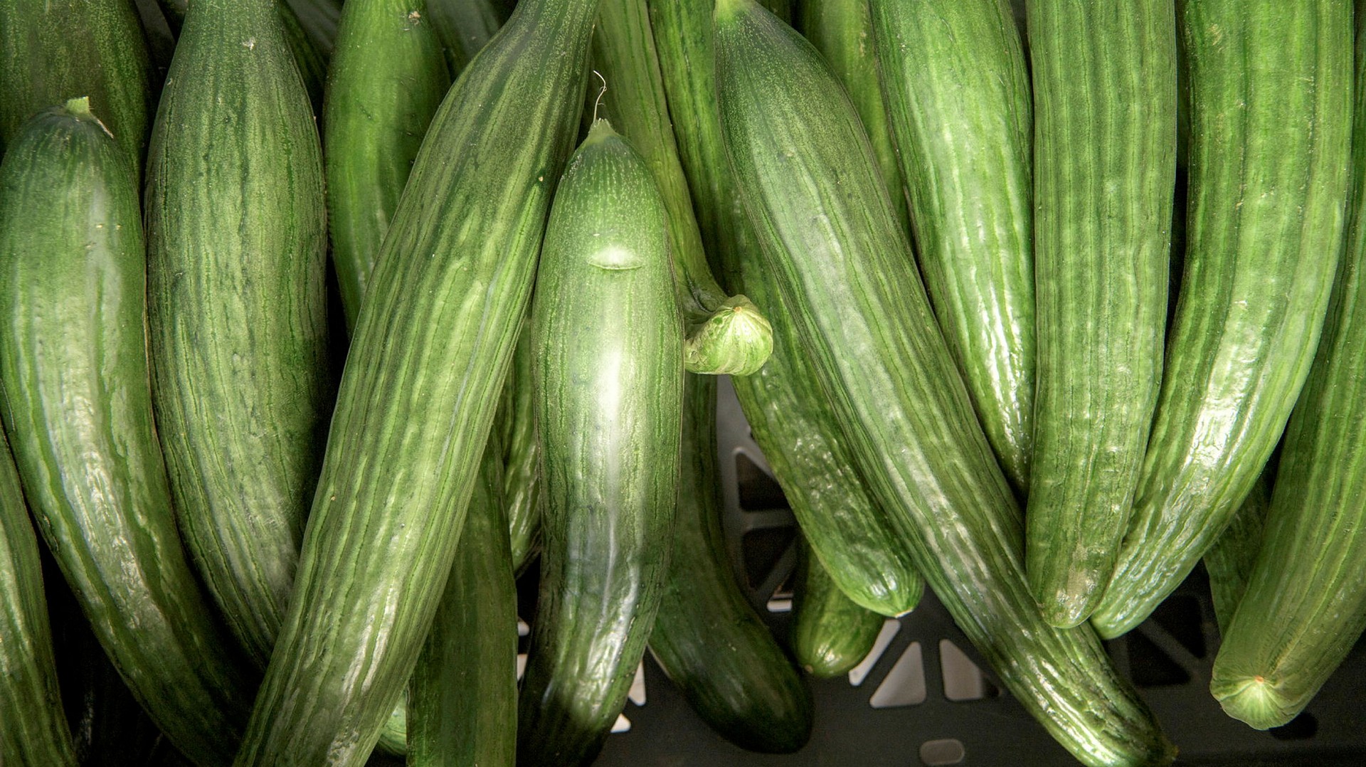 Agtira i gurkavtal med Ica värt 80 Mkr på tio år