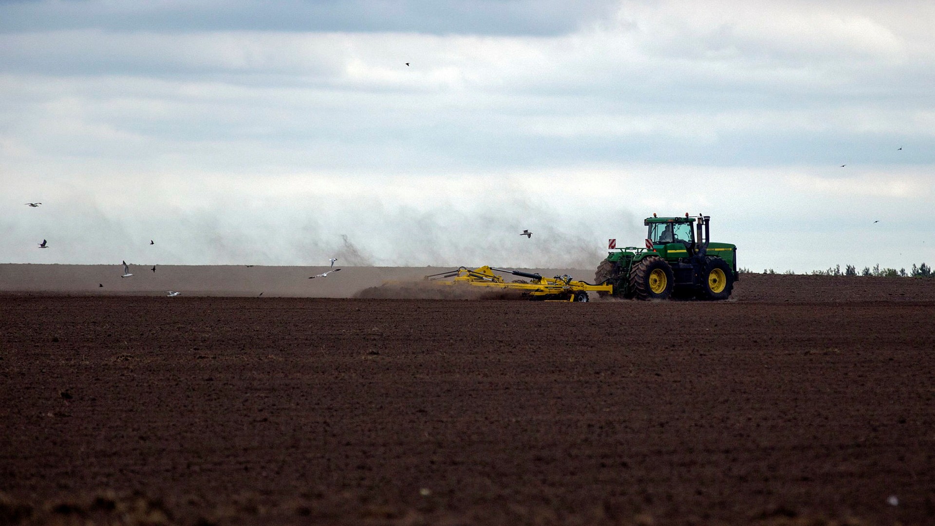 Bönder kan producera lika mycket energi som kärnkraften – om staten ...