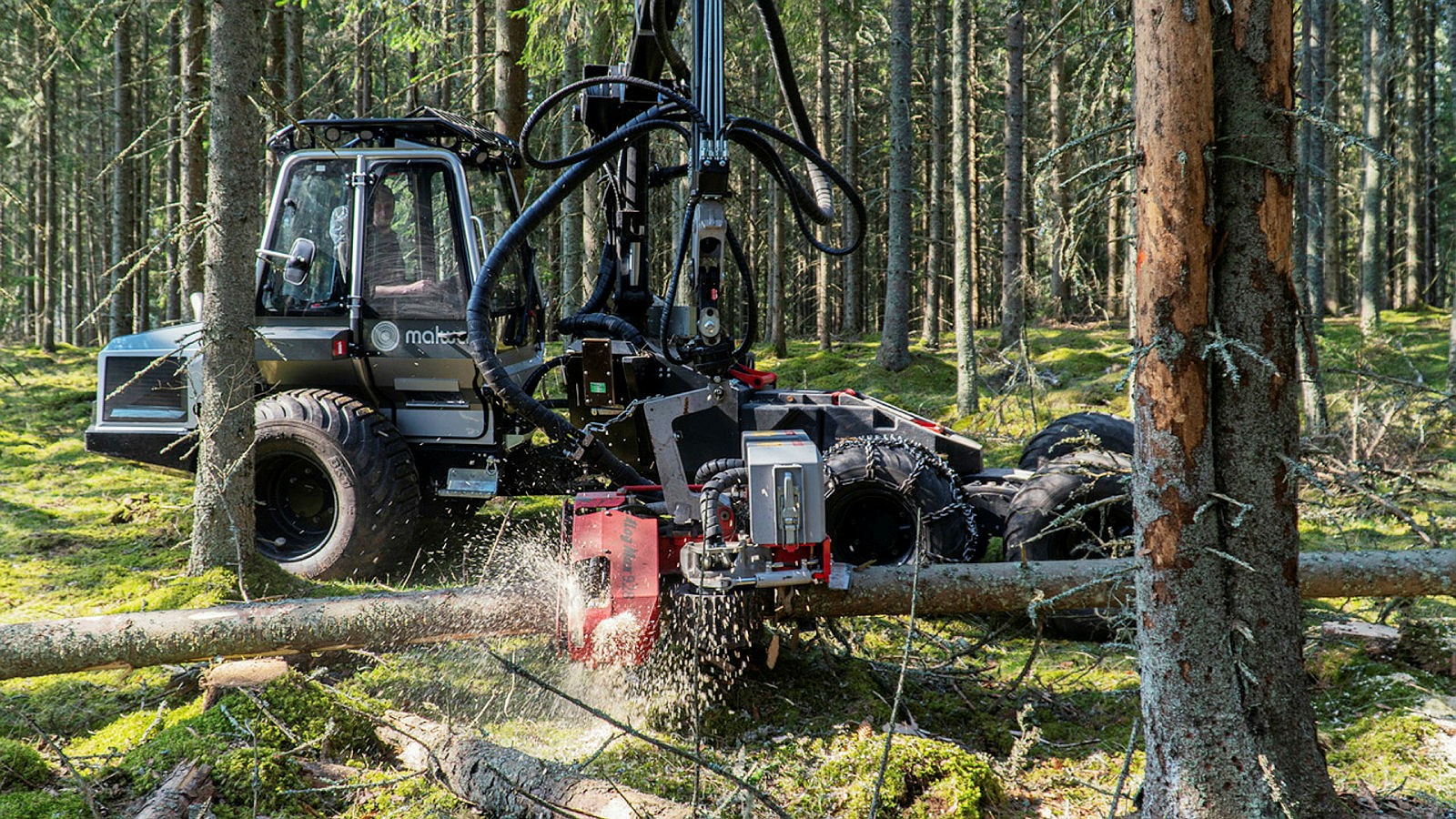 Malwa Forest och Elforest elektrifierar skogsbruket