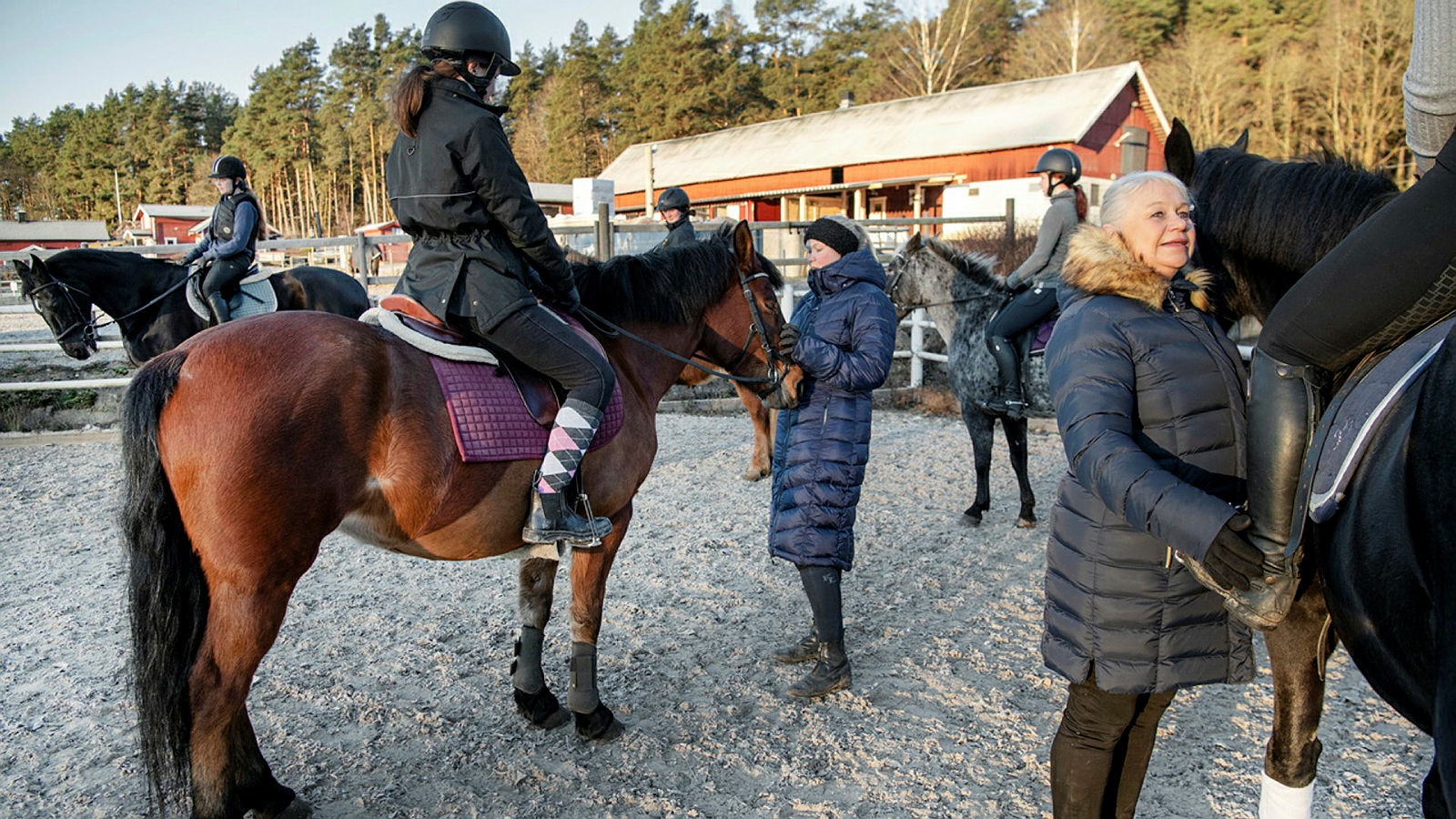 Skogslotten bygger framtidens ridskola i Norrköping