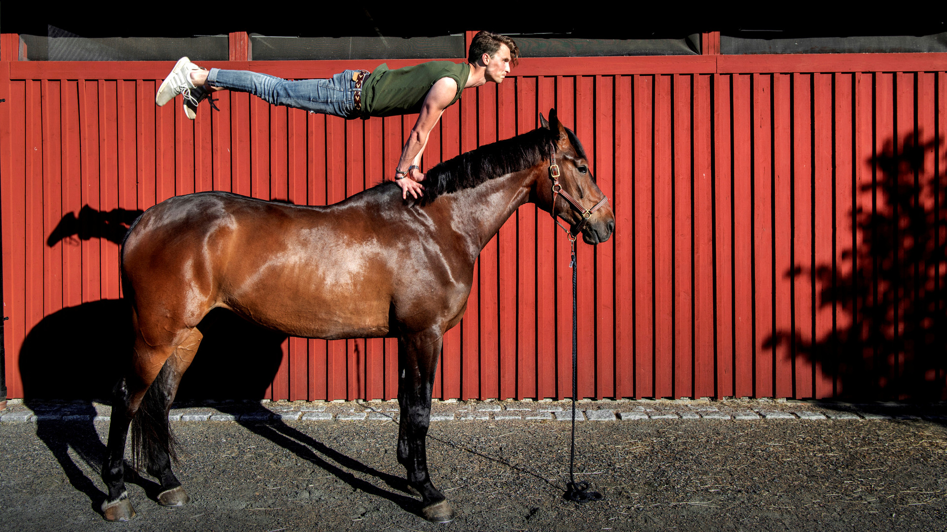 Intervju: Influencern Carl Hedin om hästar och Instagram