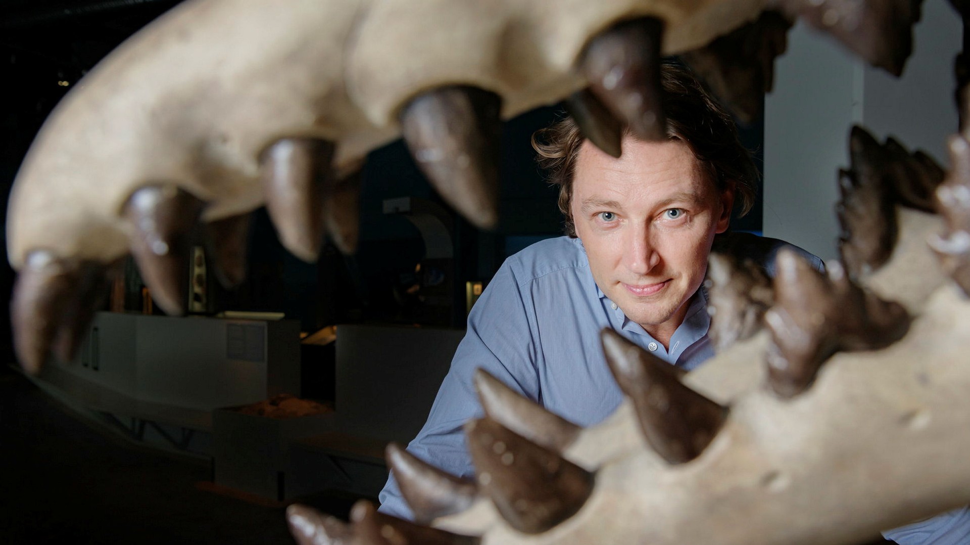 Apotekets nya vd: »Stålmannen är min hjälte«